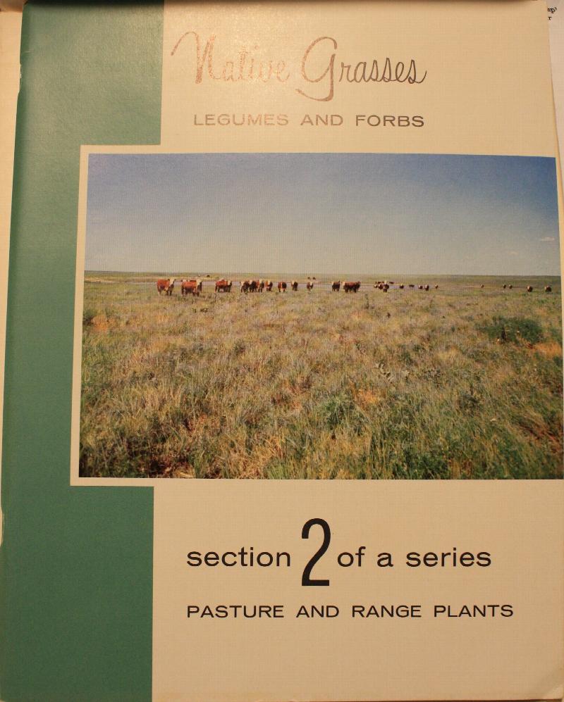 Native Grasses Legumes And Forbes Section 2 of a series Pasture And ...